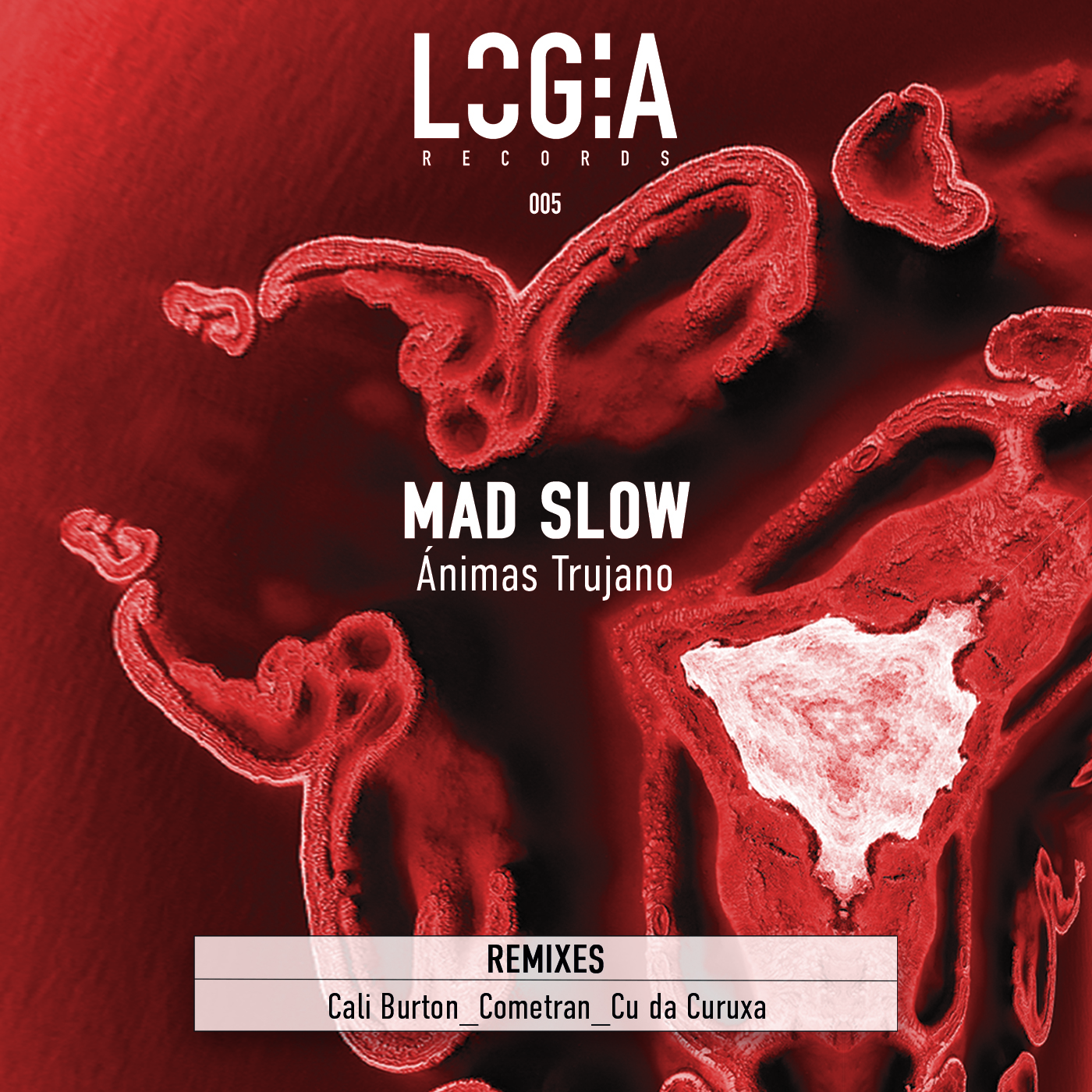 Premiere Club Furies: Mad Slow — Ánimas [Logia Records] – Club Furies